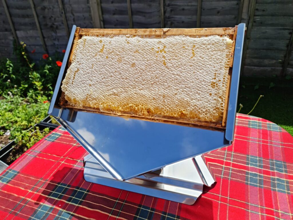 Honeycomb Display Stand + 3 Frames Honeycomb Pack - BeeBlood